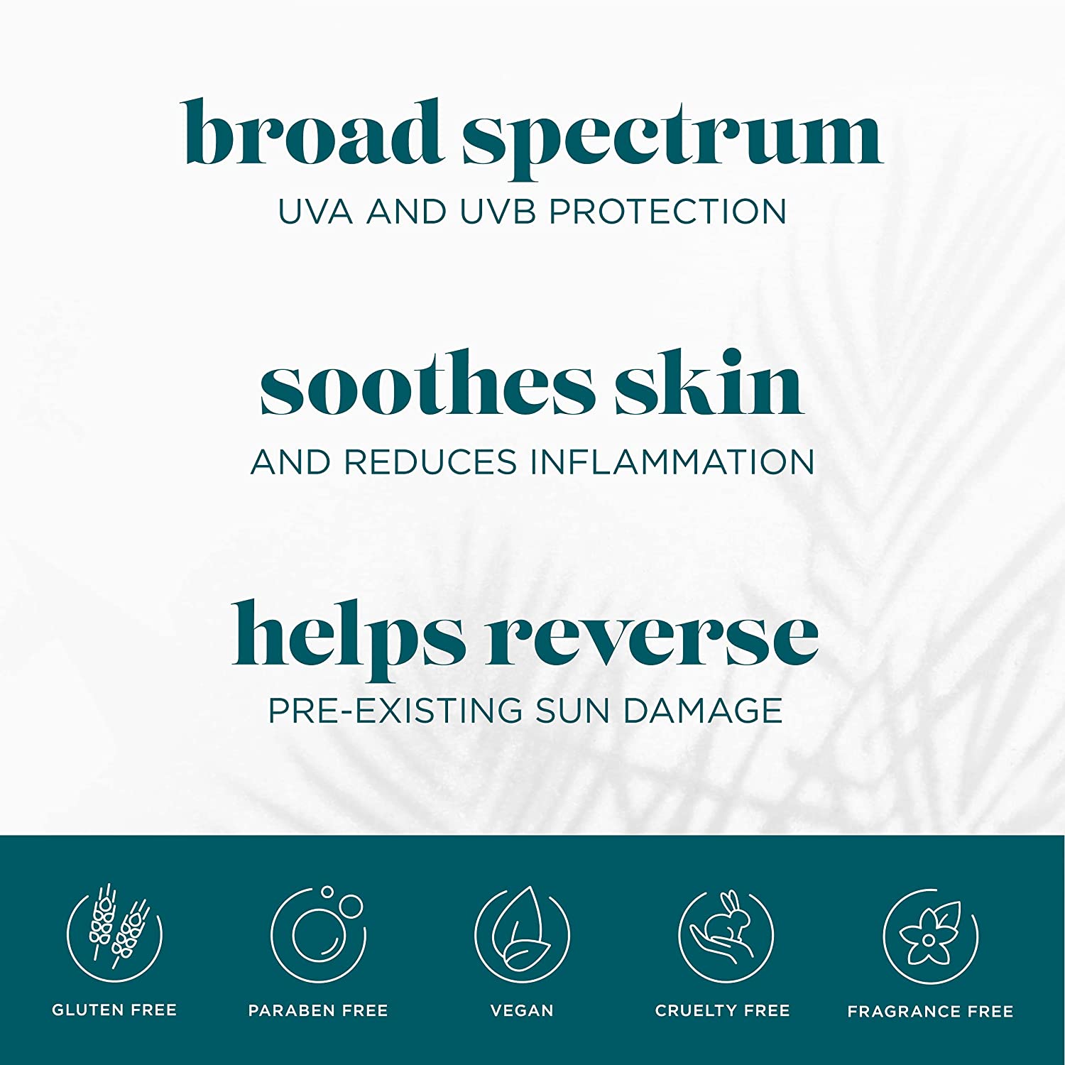 SPF 50 Daily UV Defense Broad Spectrum Sunscreen – VI Derm